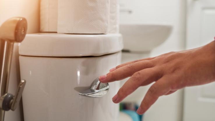 A Guide to Understanding Stool Colors and Their Meanings